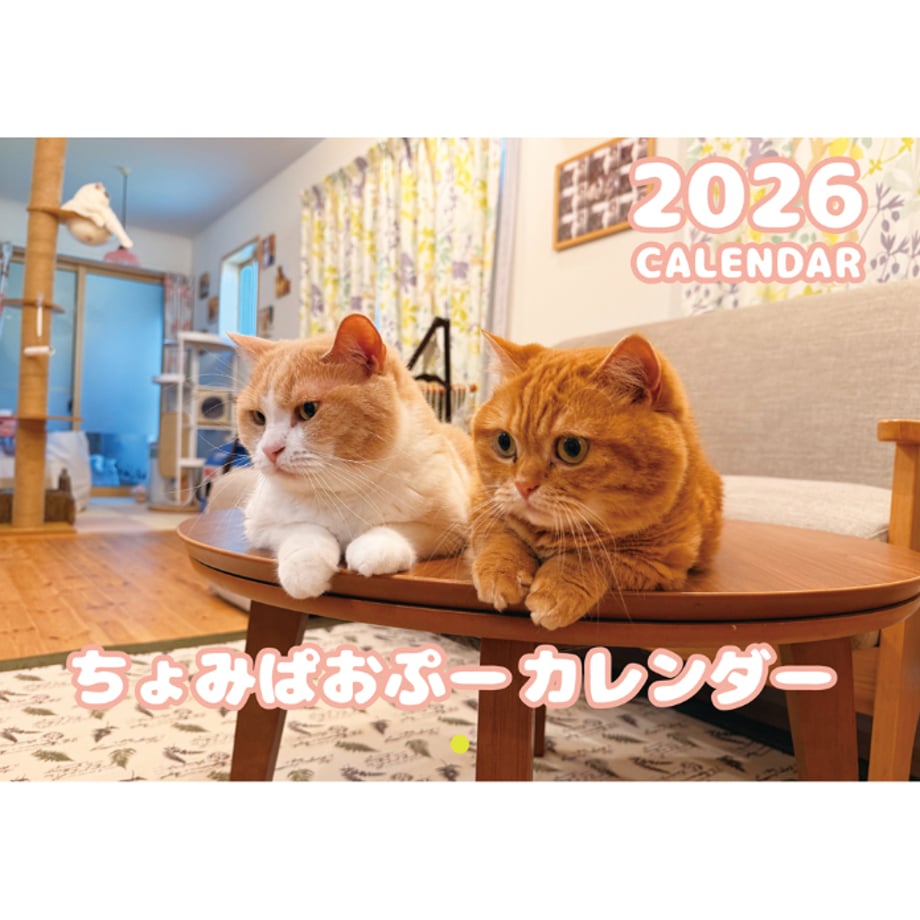 【予約販売】 猫のちょみぱおぷー 2026年 壁掛けカレンダー KA26265 | ANISTAR