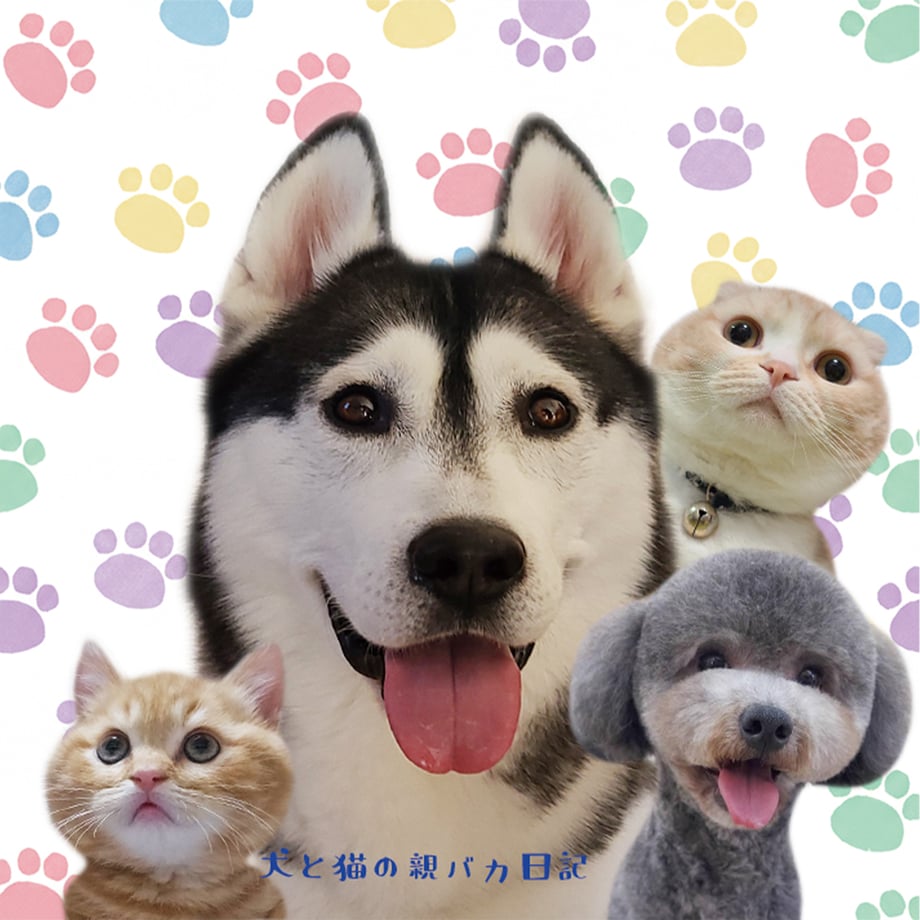 【予約販売】 犬と猫の親バカ日記 ステッカー 3枚セット SU015NN | ANISTAR