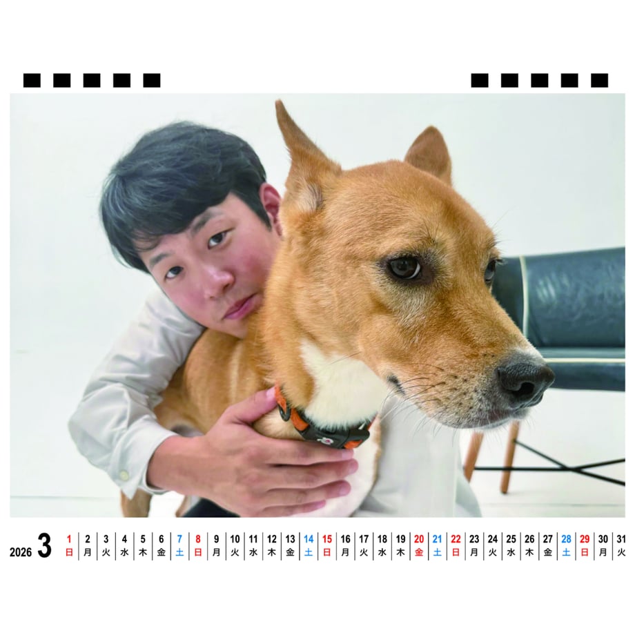 【予約販売】 チワワののぶなが 犬 2026年 卓上カレンダー TA26090 | ANISTAR