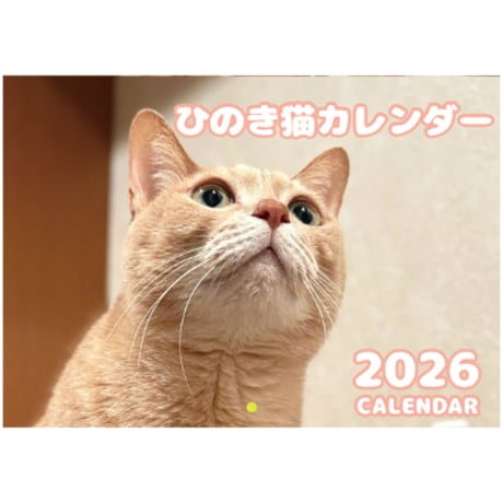 【予約販売】 ひのき猫 2026年 壁掛けカレンダー KA26175 | ANISTAR