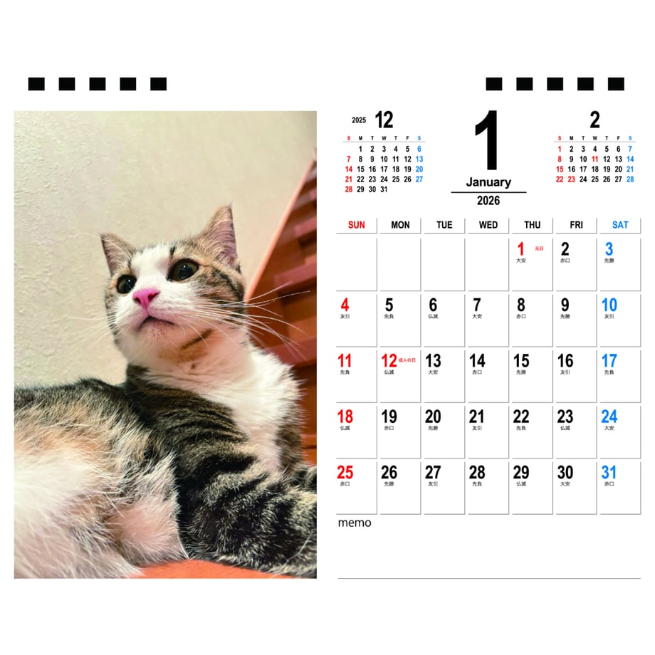 【予約販売】 ひのき猫 2026年 卓上カレンダー TA26176 | ANISTAR