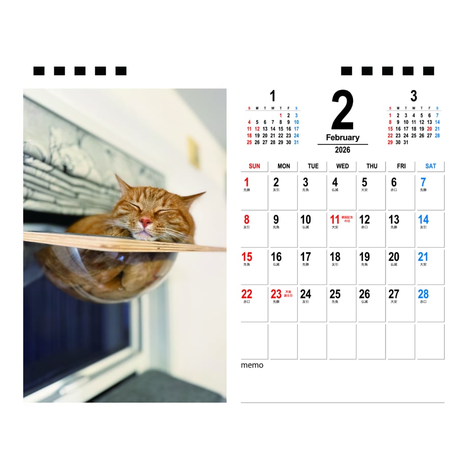 【予約販売】 猫のもち 2026年 卓上カレンダー TA26253 | ANISTAR