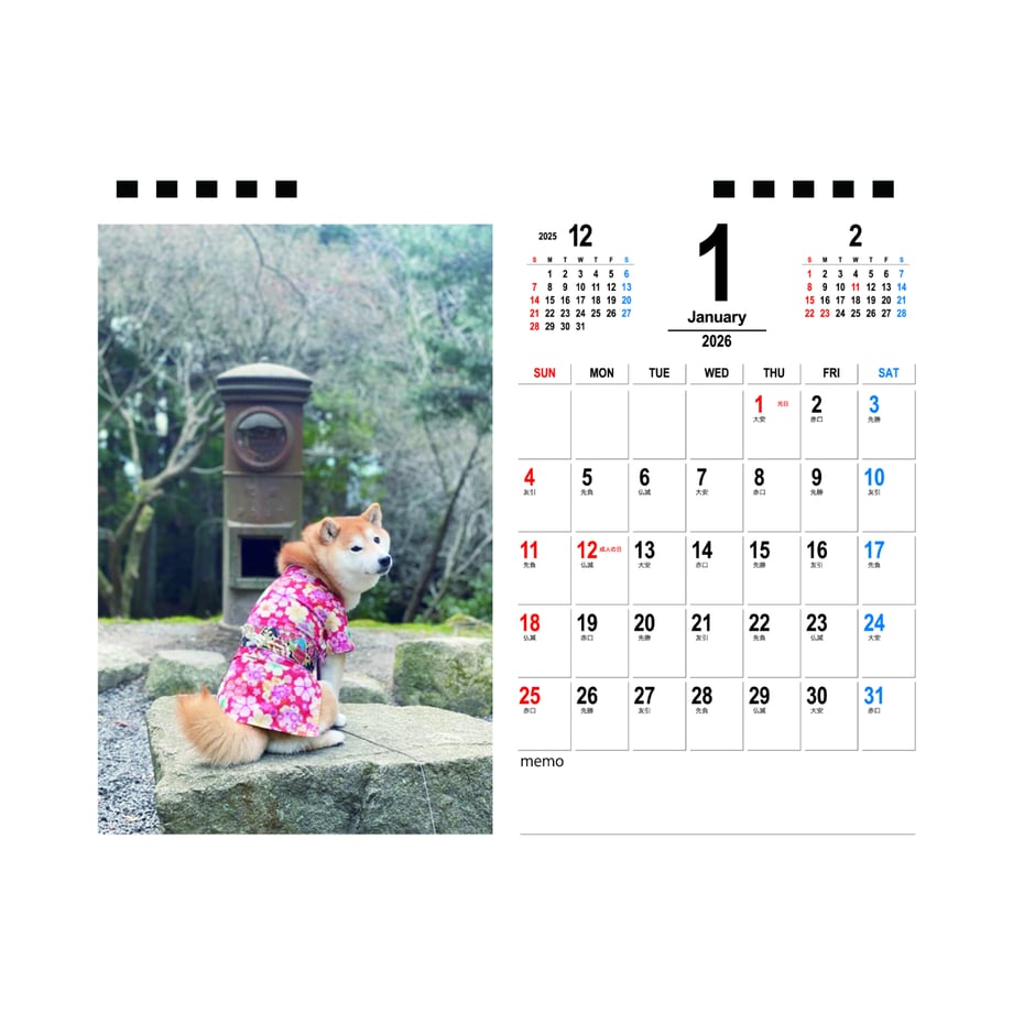 【予約販売】 柴犬 小雨 2026年 卓上半面 カレンダー TA26006 | ANISTAR