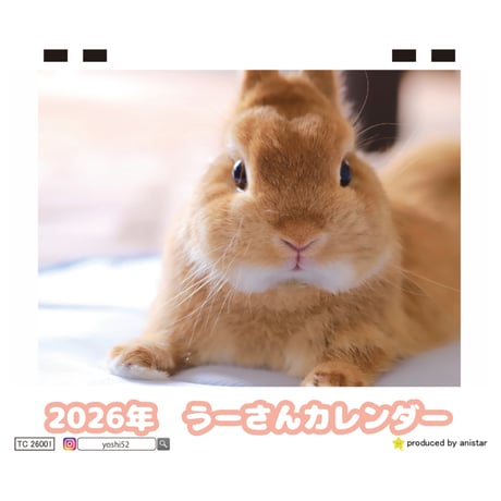 【予約販売】 うさぎのうーさん 2026年 卓上全面 カレンダー TC26048 | ANISTAR