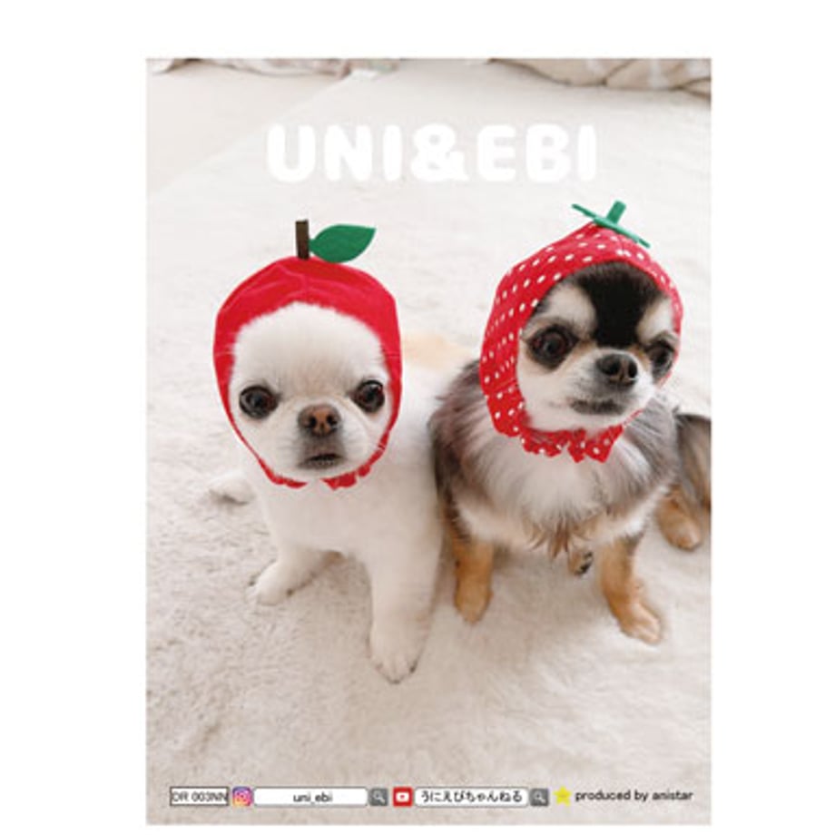 【予約販売】 チワワのUNI＆EBI 犬 日記帳 DR003NN | ANISTAR