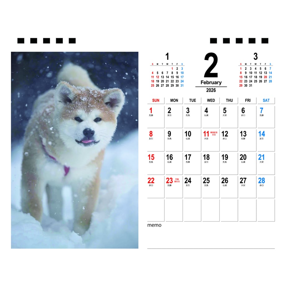 【予約販売】 秋田犬の陸奥＆源太 2026年 卓上カレンダー TA26254 | ANISTAR