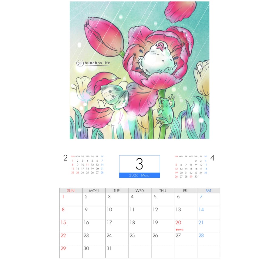【予約販売】 文鳥 こむぎ 2026年 壁掛けカレンダー KA26227 | ANISTAR