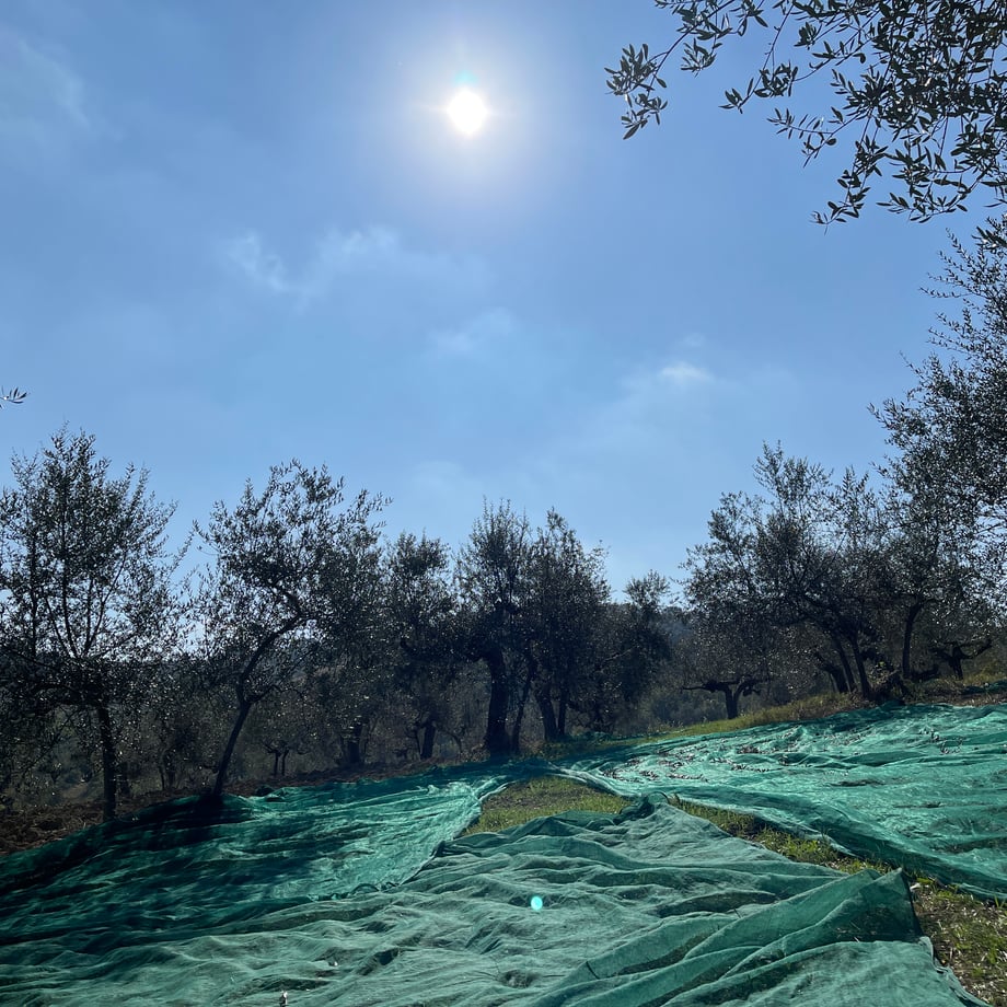 自然栽培オイル3種テイスティングセット | ASAKURA Co., Ltd.