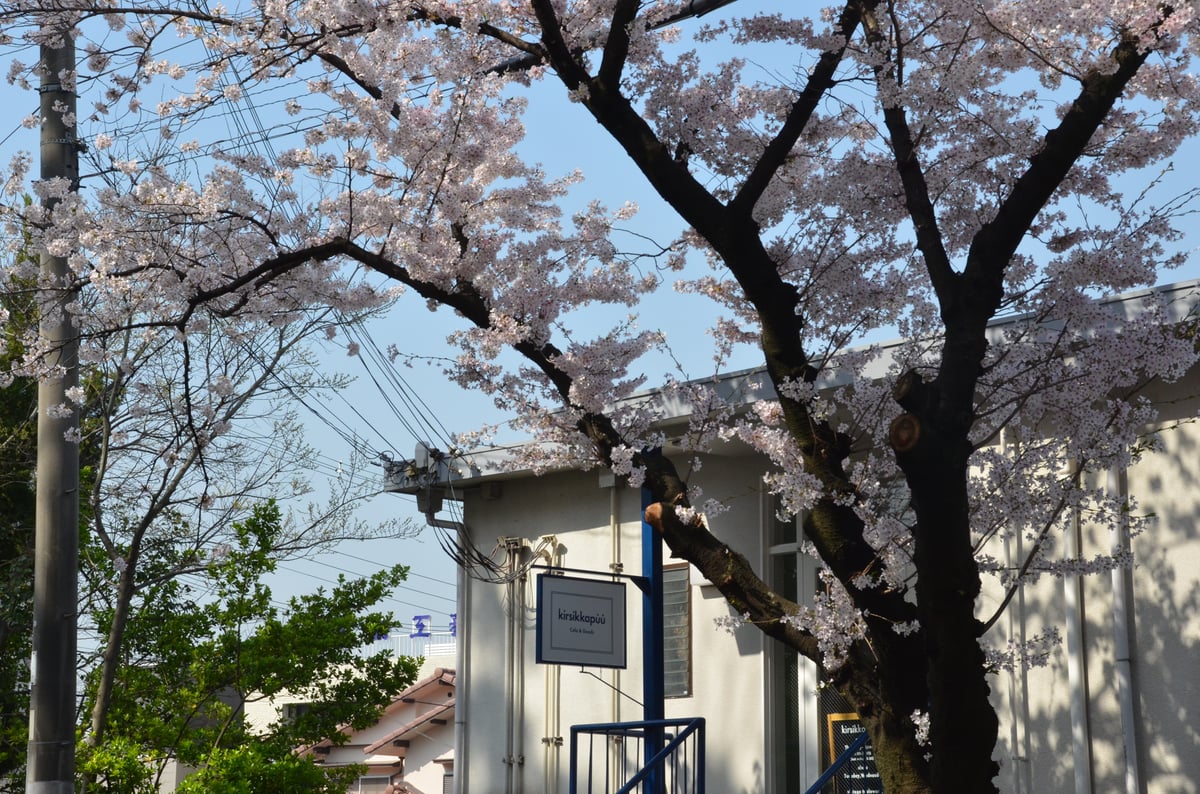 実店舗について | kirsikkapuu general store