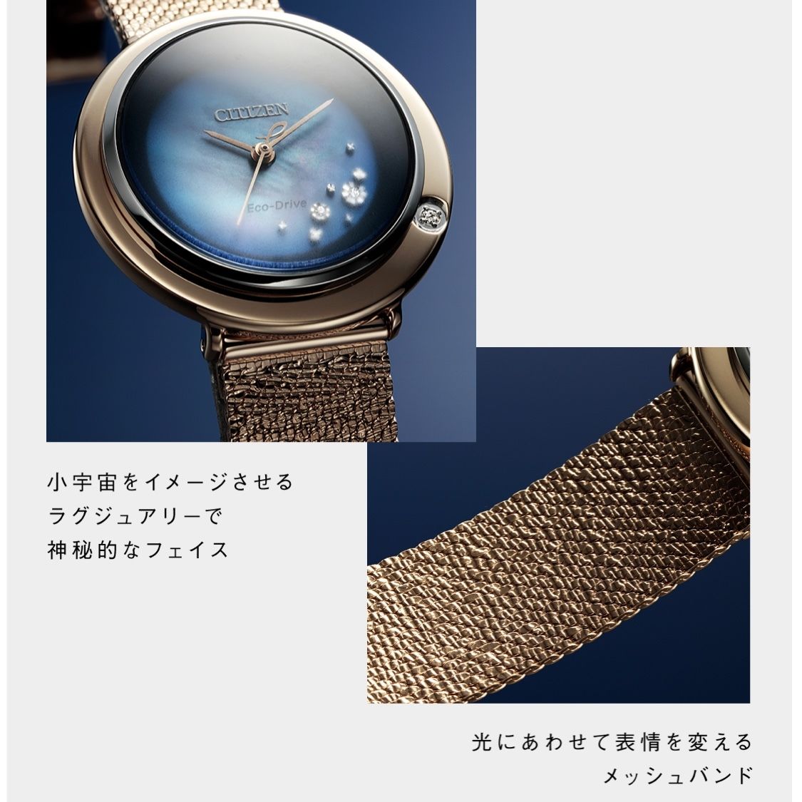 CITIZEN L × CHAN LUU × 冨永愛 コラボウォッチ | SALON DE N CITIZEN L × CHAN LUU × 冨永愛 コラボウォッチ | SALON DE N