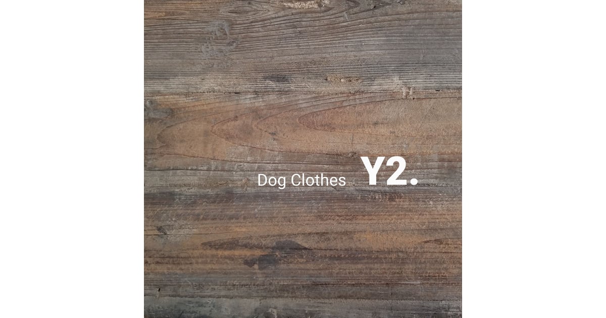 Dog clothes Y2.