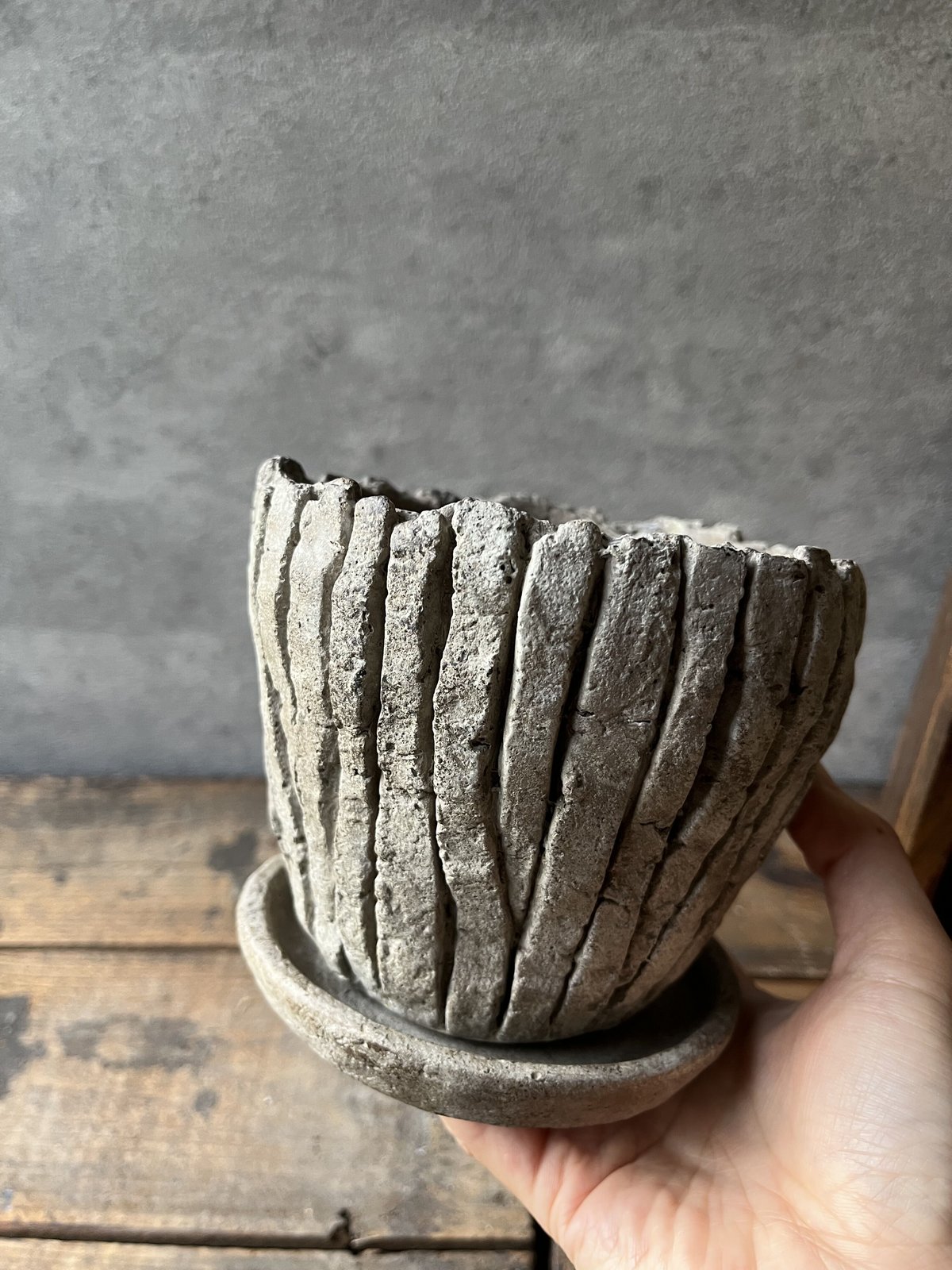 【POT】TREE BARK (Φ13.5cm) | ¨MONKEY TREE¨ by SA...