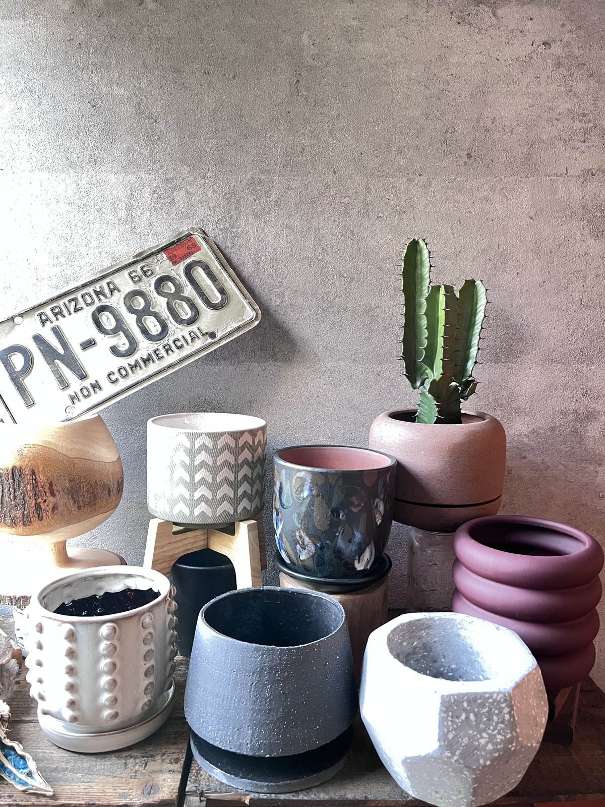 Gray UFO Pot / (Φ16cm) | ¨MONKEY TREE¨ by SABOT...