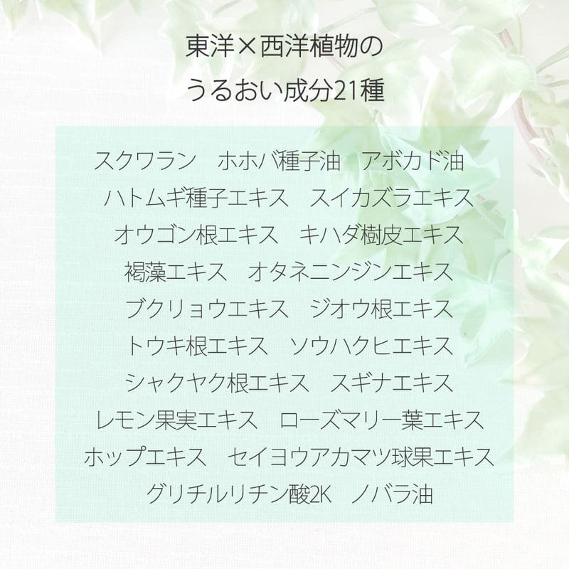 ブレンドジェルクリーム 500g | Segurora Cosmetics Online Shop