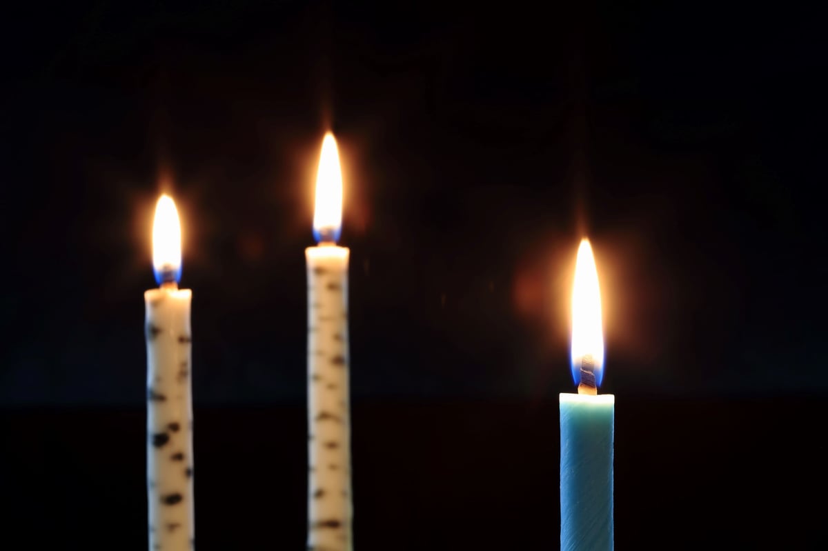 3種類お試しセット（Beginner’s set） | WAFIN