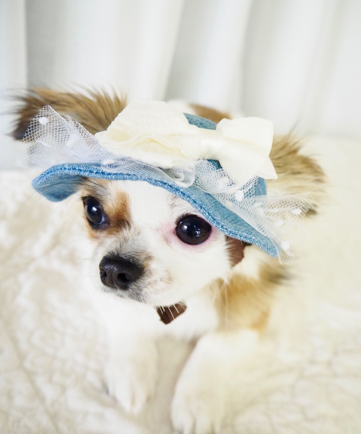 GE-277 ｶﾞｰﾘｰｻﾏｰﾊｯﾄ | GARDEN OF EDEN