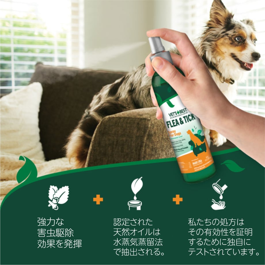 スプレーガン付 ベッツベスト フレア＆チックスプレー（のみダニスプレー） 236ml パッケー...