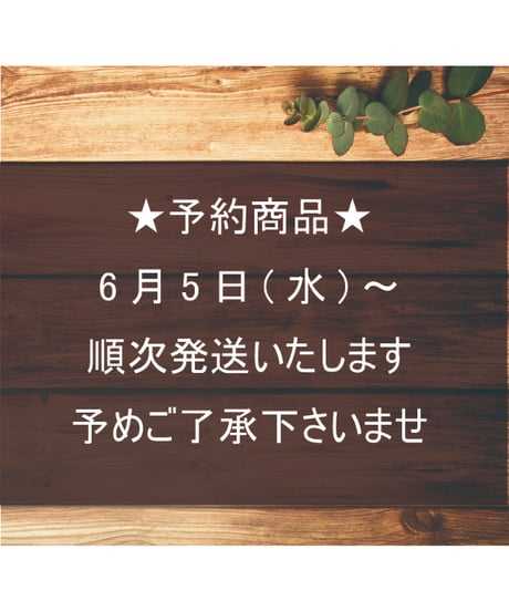紅玉りんごと3種のナッツ（120g） | まごころ農場