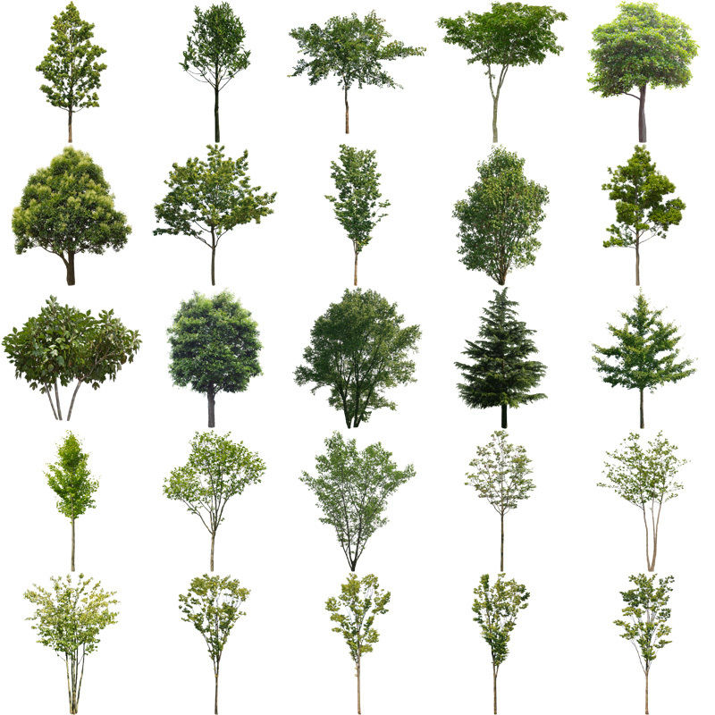 Trees cutout set download [free_trees_set03]