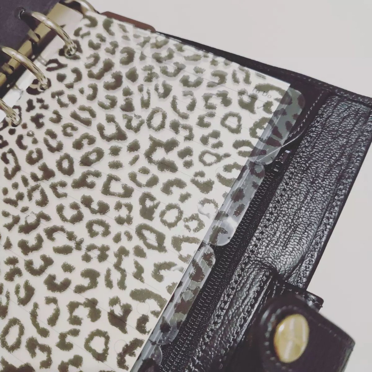 透明なヒョウ | 3サイズ | Aristobook.