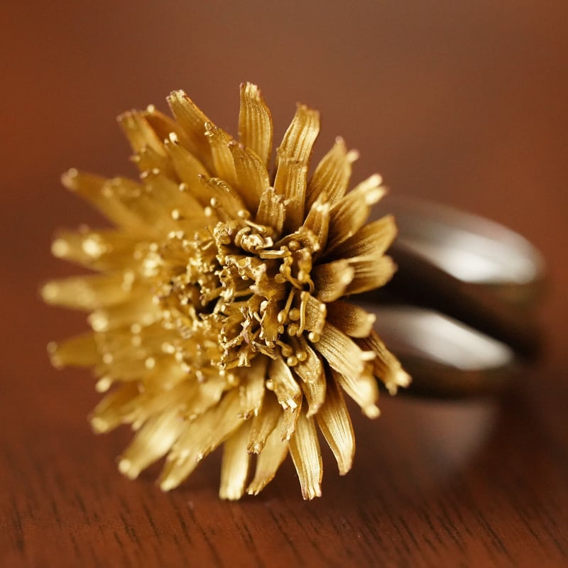 蒲公英リング (The Dandelion ring) | Shota Suzuki 蒲公英リング (The Dandelion ring) | Shota Suzuki