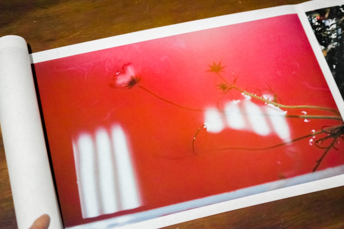 Appear｜鈴木敦子 Atsuko Susuki | ソラリス・オンラインストア