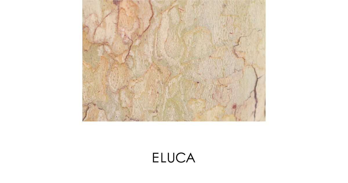 ELUCA