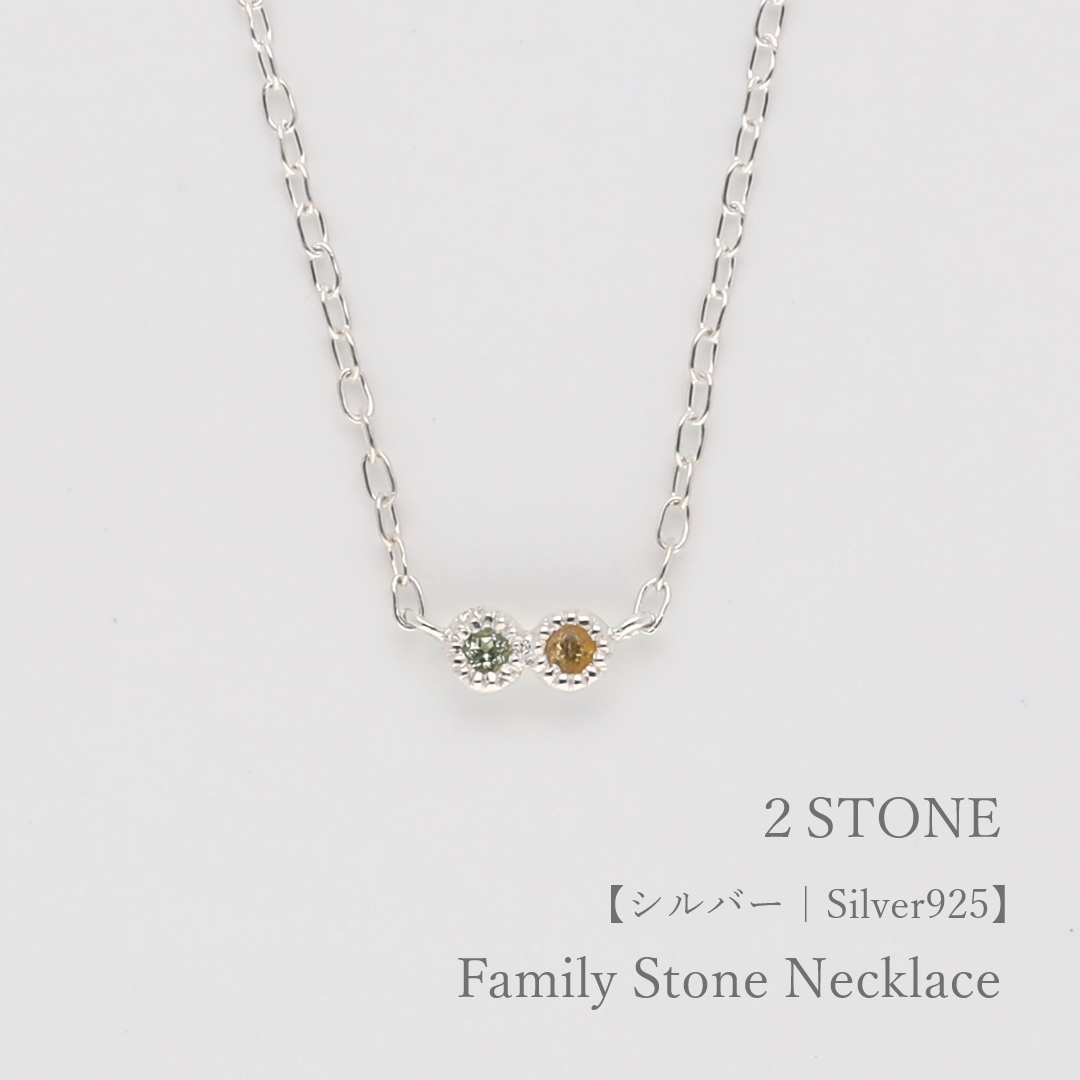 大切な人の宝石を紡ぐ【2石】-Family Necklace(ファミリー 大切な人の宝石を紡ぐ【2石】-Family Necklace(ファミリー