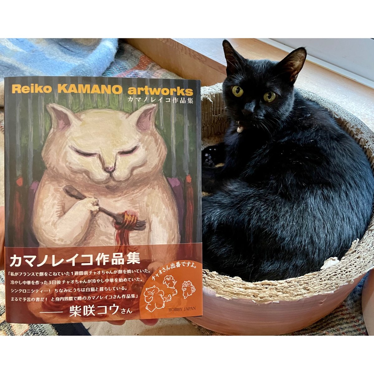 Reiko KAMANO artworks カマノレイコ作品集 | Cat's Meow Bo...