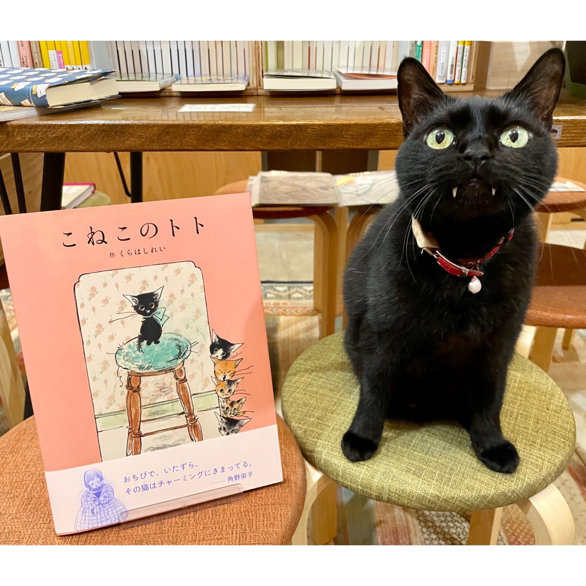 こねこのトト | Cat's Meow Books Virtual Shop β