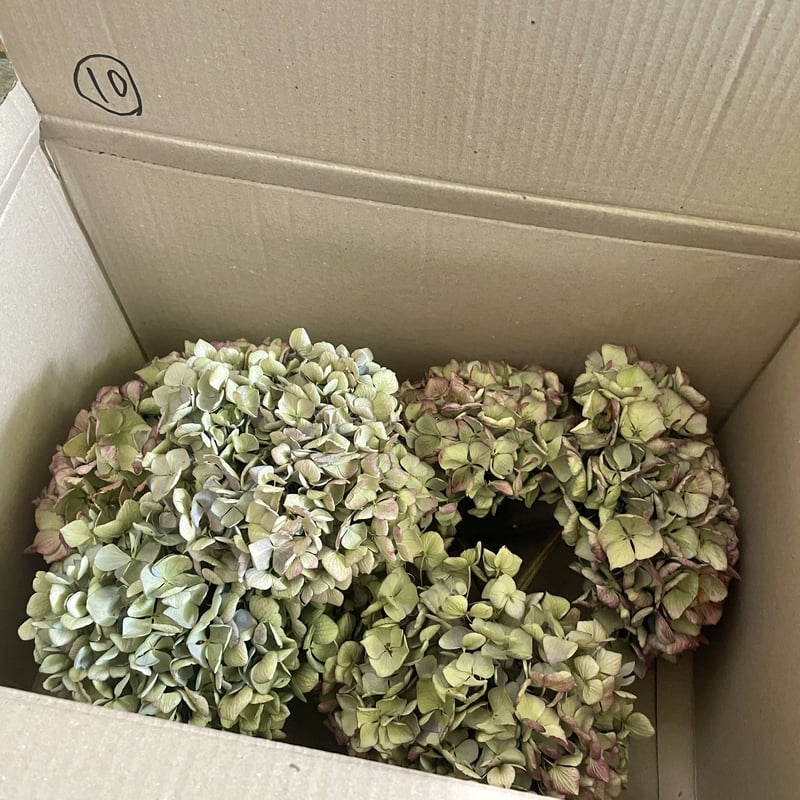 花かんざし ドライフラワー サイズMIX せこく 良品茎付き50輪 t 花かんざし ドライフラワー サイズMIX せこく 良品茎付き50輪 t