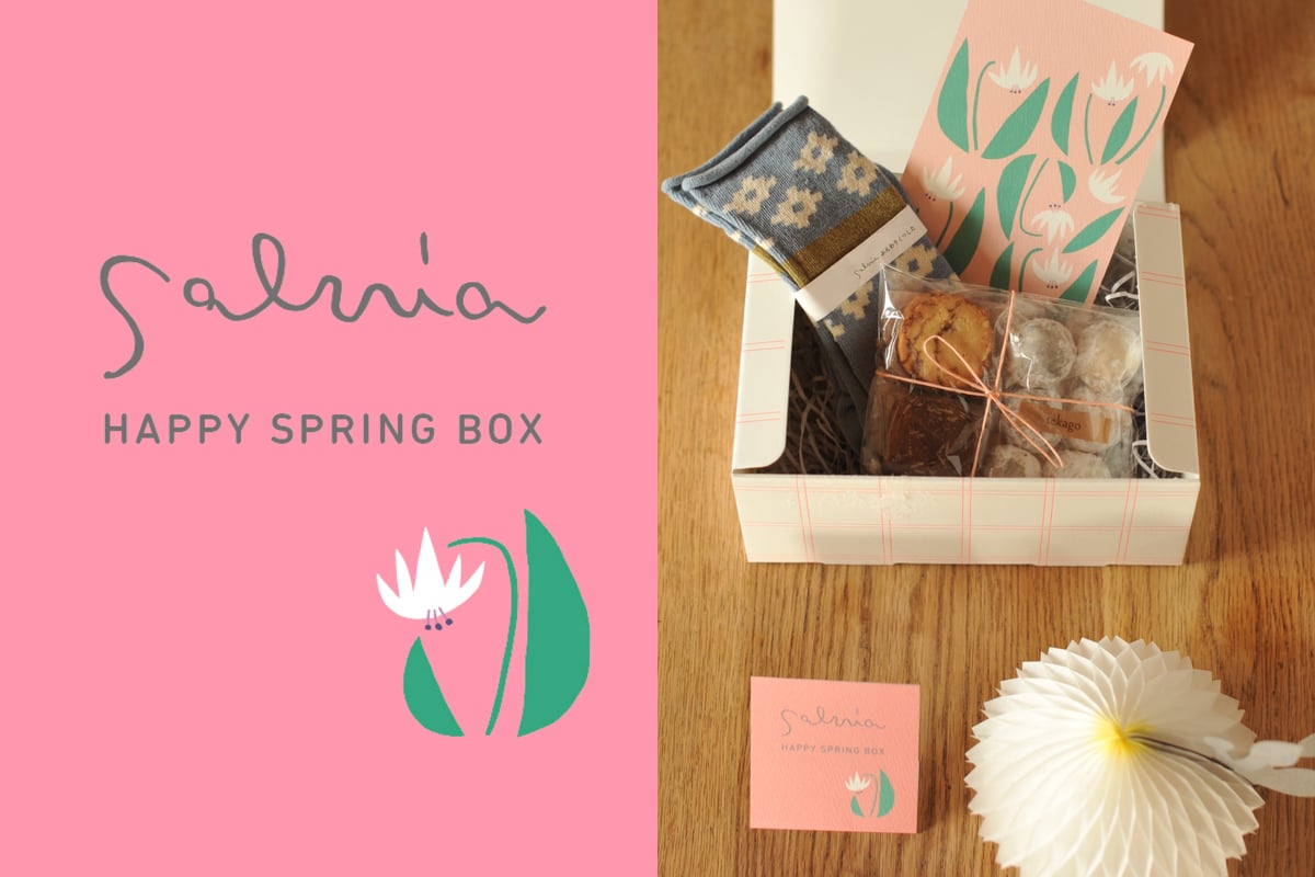 春をお祝いするギフトBOX [ HAPPY SPING BOX ] | salvia