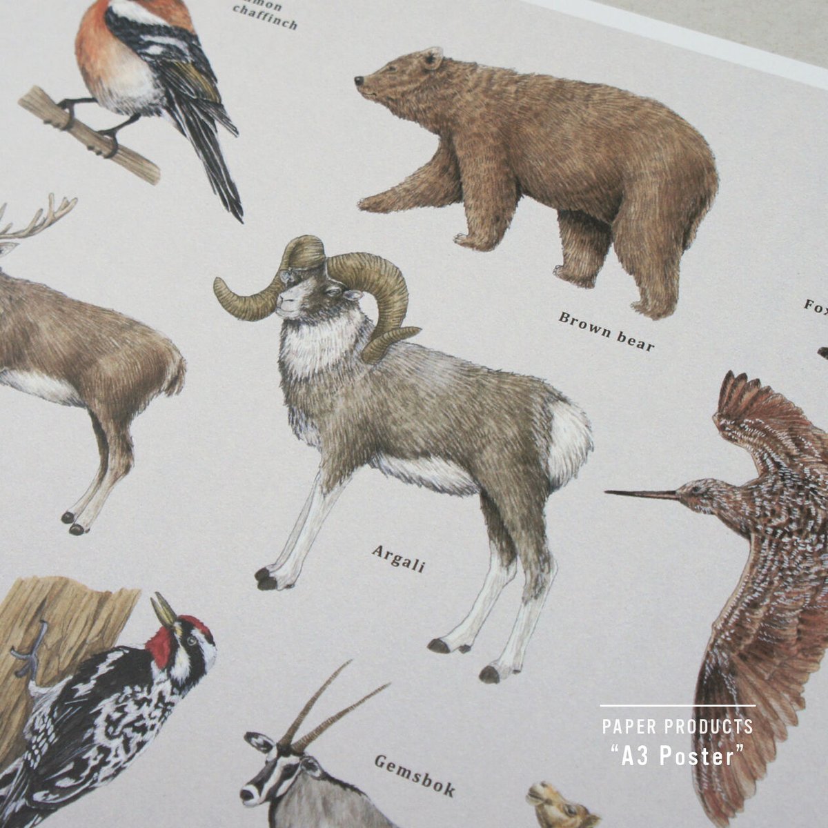 Animals / A3 Poster | Miltata ORDER & PRODUCTS