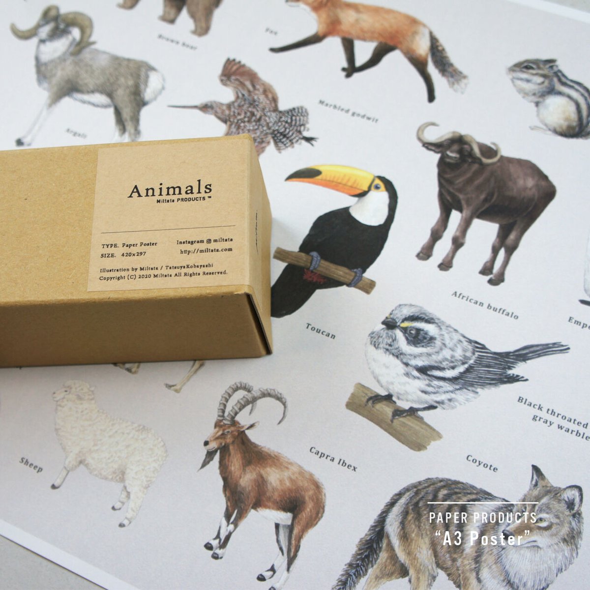 Animals / A3 Poster | Miltata ORDER & PRODUCTS