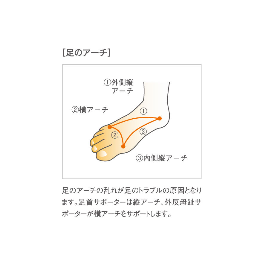 HOLZAC シリコンテーピングサポーター 足首用（1枚入り） | TOSCOM ONLINE...