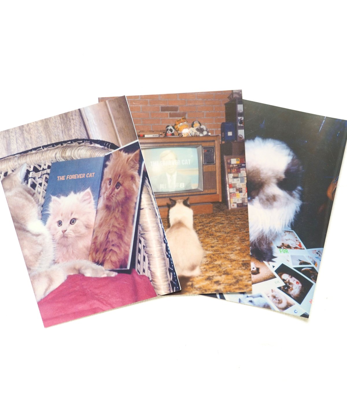 THE FOREVER CAT 1〜3 set | button