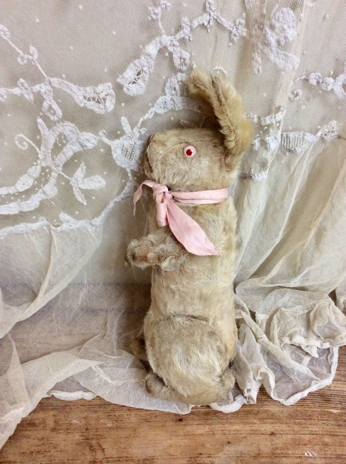 STEIFF HOLLANDER RABBIT | sputnikplus online shop