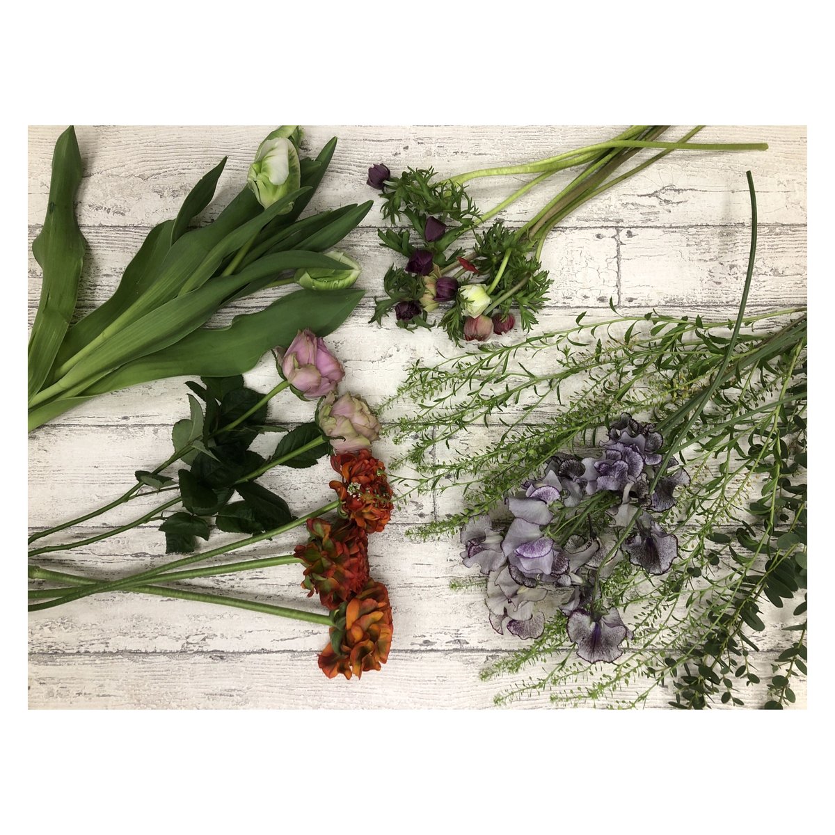 花の定期便 | FLORICO