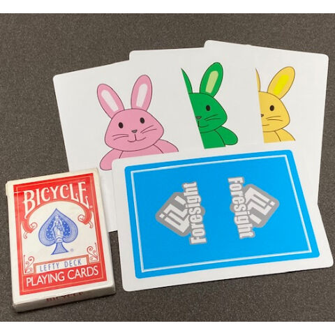 カラフル・うさぎ *1400 | Foresight Magic STORE