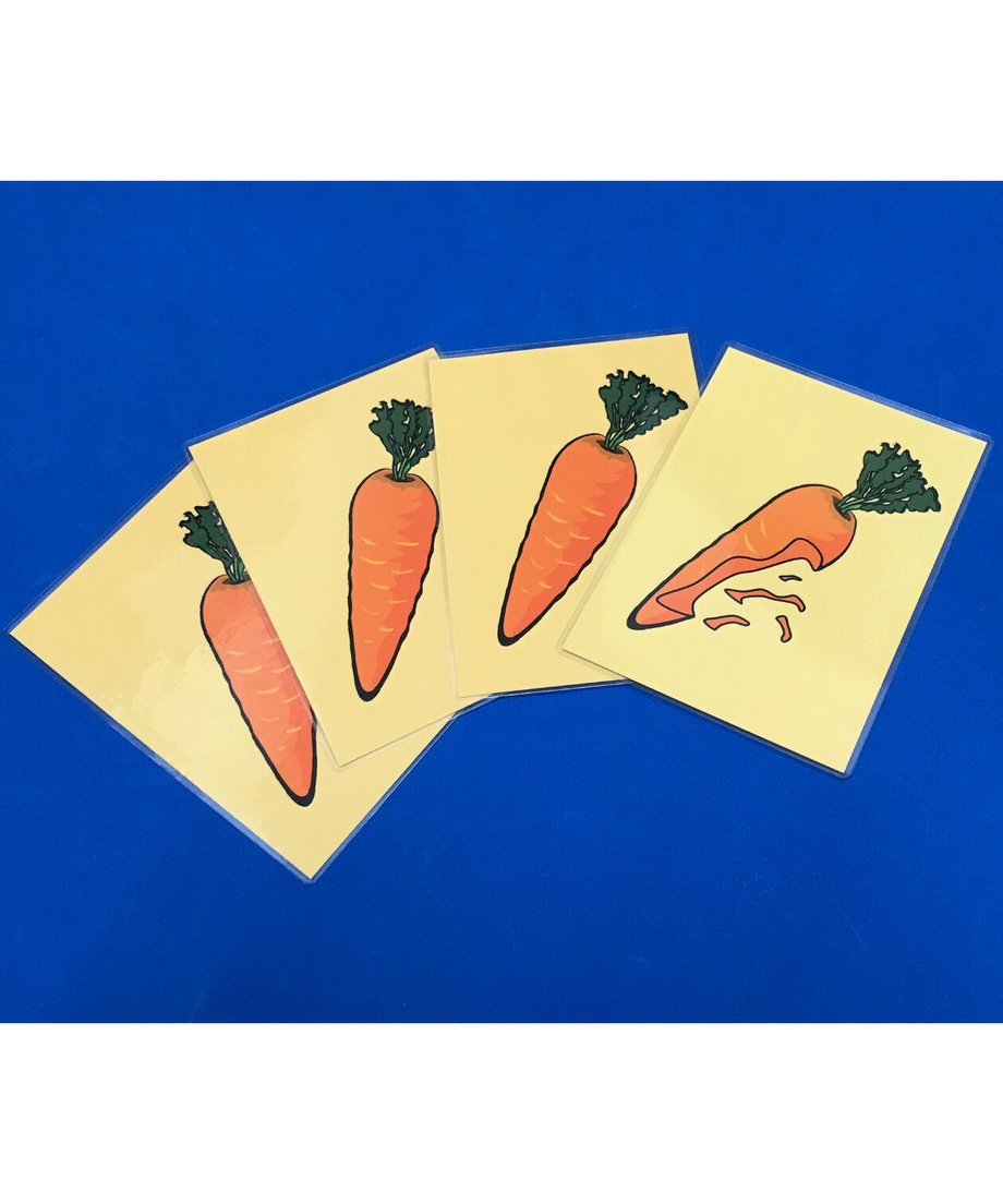 ウサギ、ハット、パウチカード ＊1650 | Foresight Magic STORE