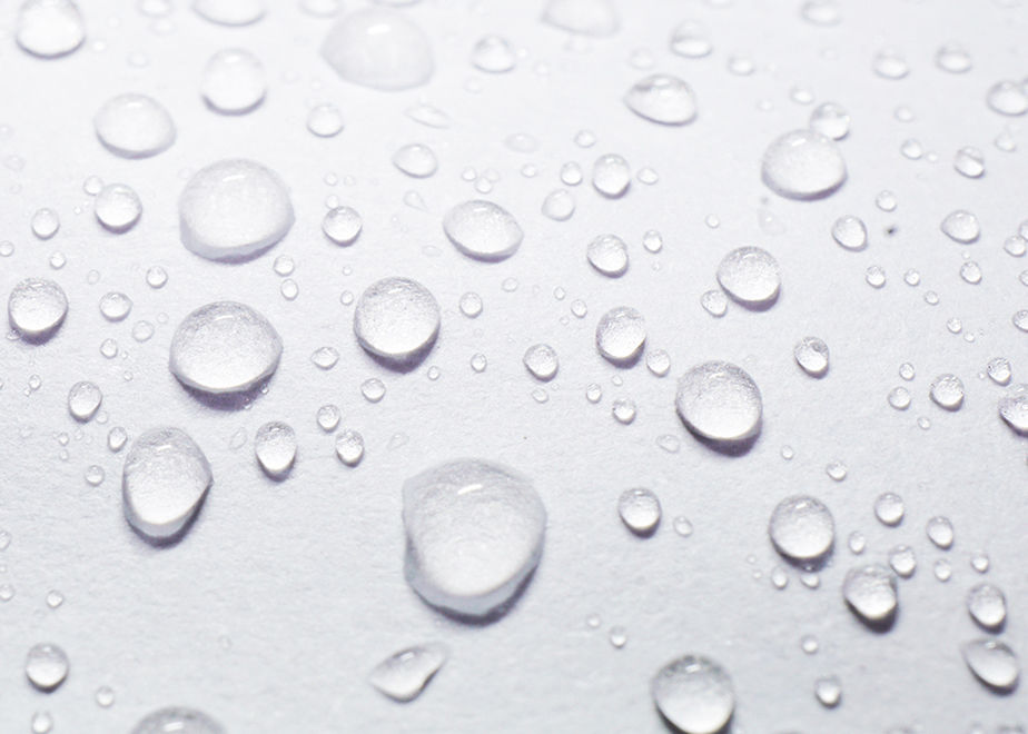 紙の花瓶 『Flowery Tale』 Original Edition 01 ブラック D...