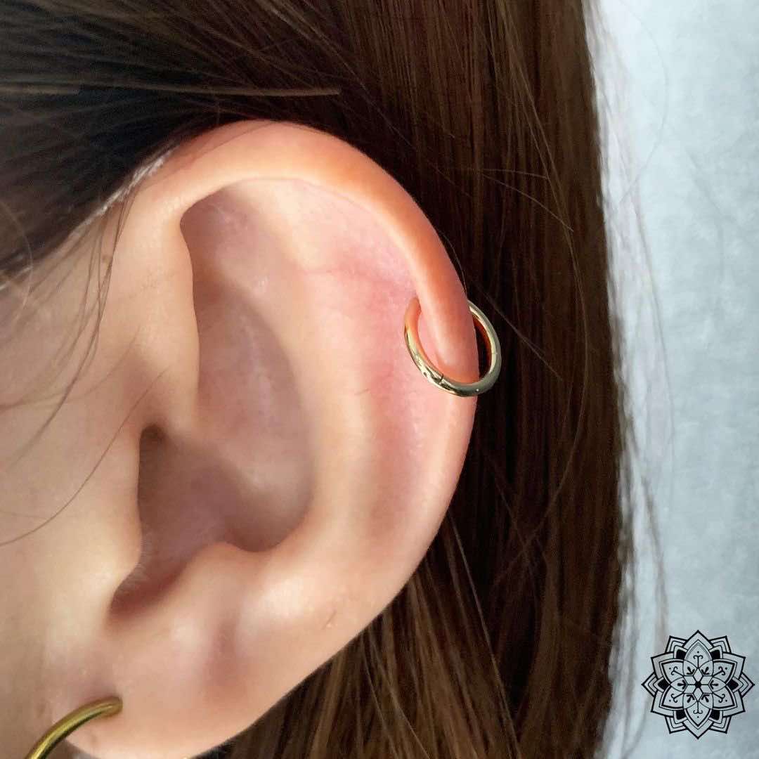 16ga Hinged Ring-14K(YG) | GLASS BODY JEWELRY