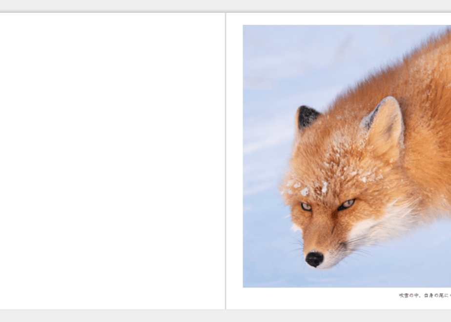 【写真集】命のめぐり Nature in Alaska A4カラー印刷 120ページ | 中島...