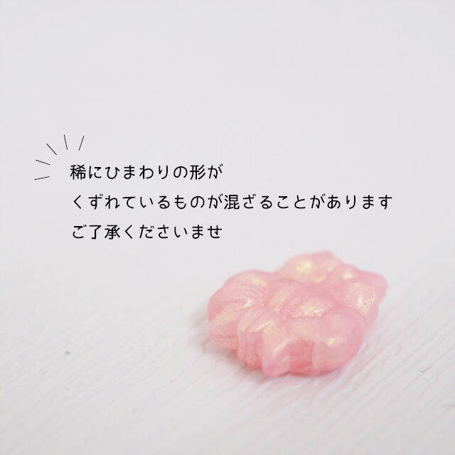 【PILL】429： NORTHERN LIGHTS【5色35g：約100粒】 | シーリング...