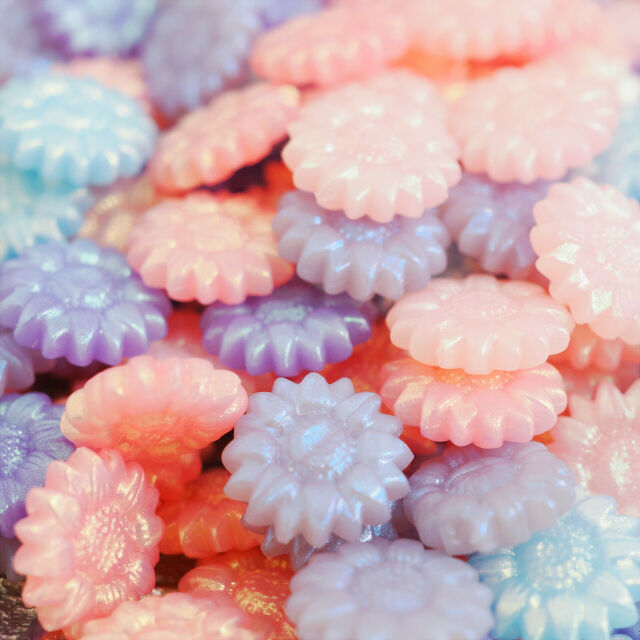 【PILL】429： NORTHERN LIGHTS【5色35g：約100粒】 | シーリング...