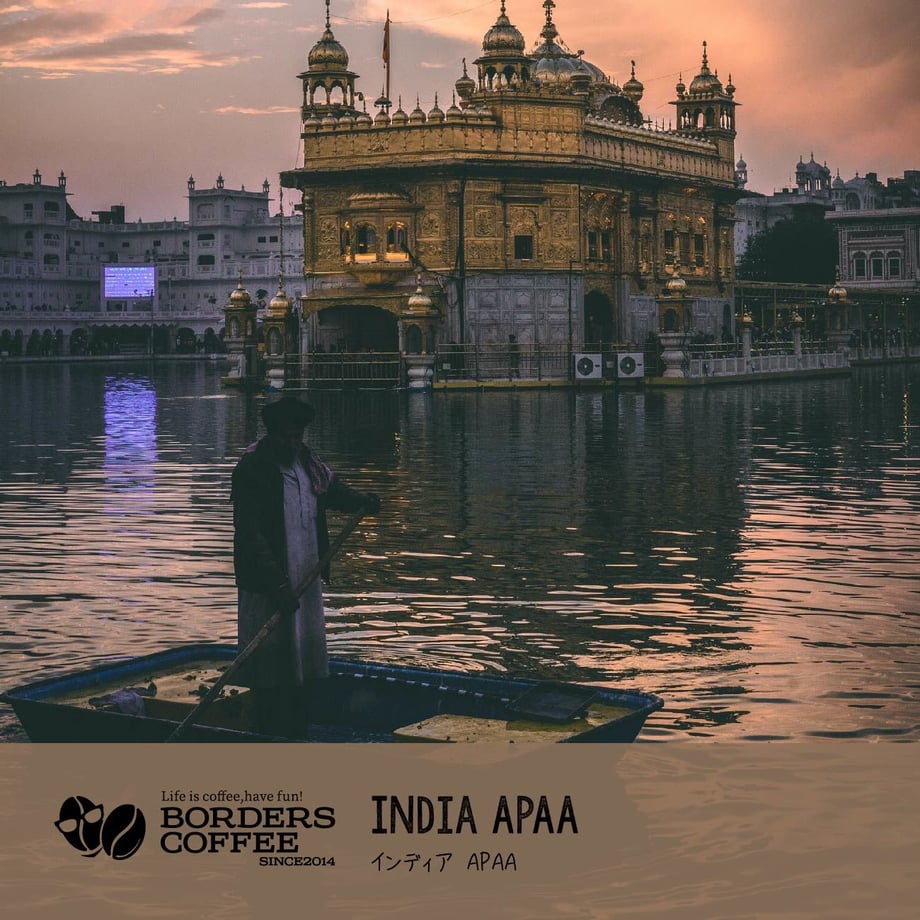 インディア APAA 豆 100g | BORDERS COFFEE