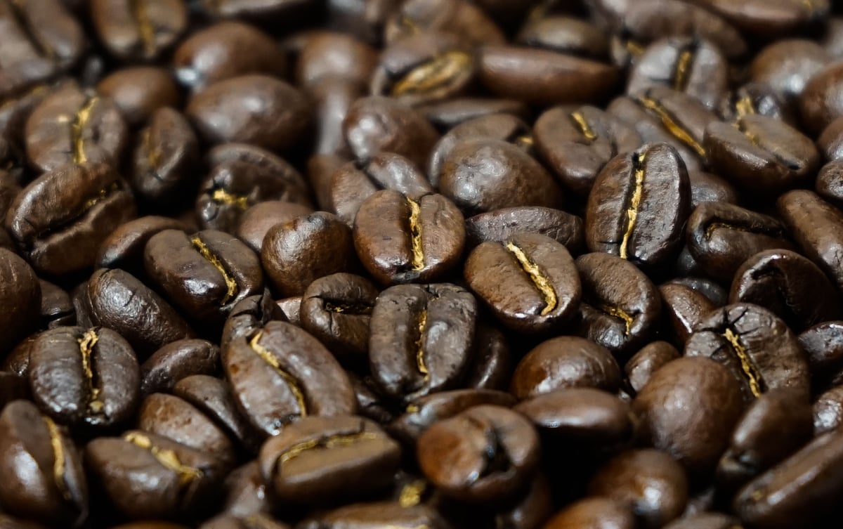 インディア APAA 豆 100g | BORDERS COFFEE