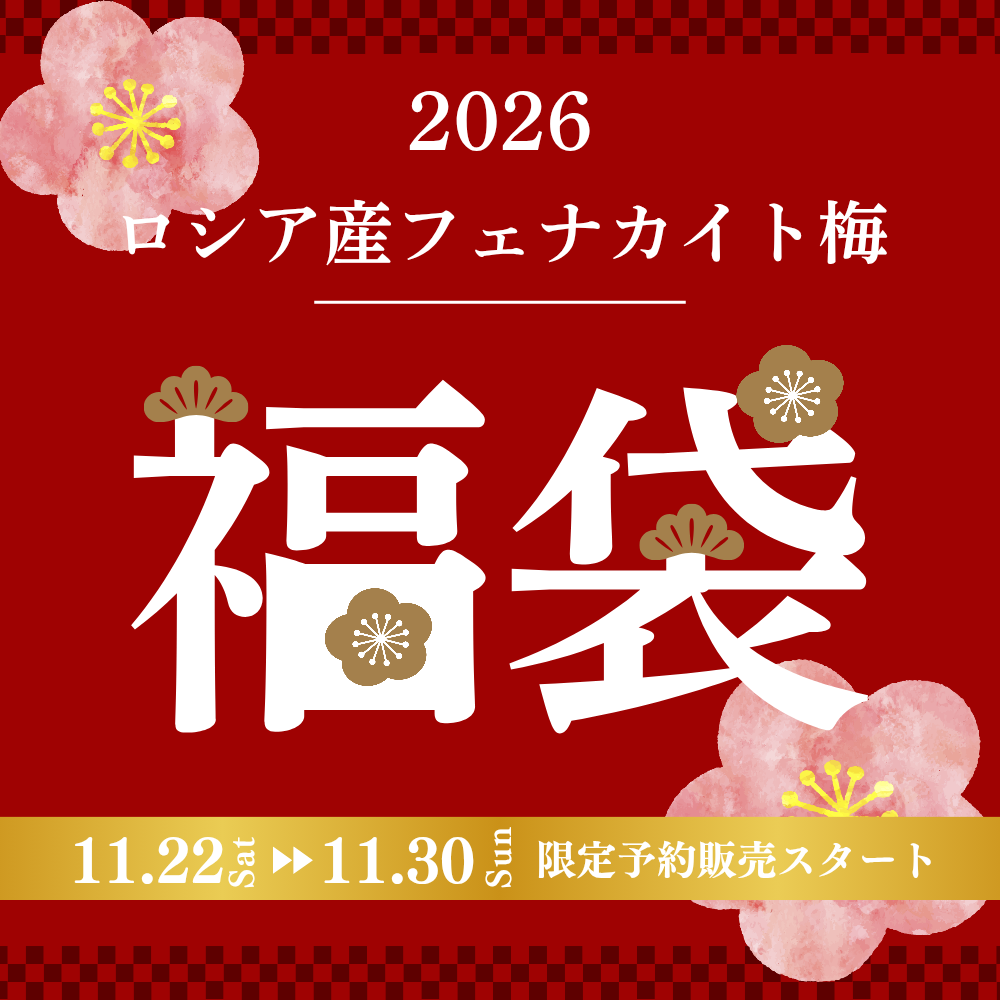 【先行販売】ロシア産フェナカイトペンダントトップ福袋梅 | -縁 enishi-