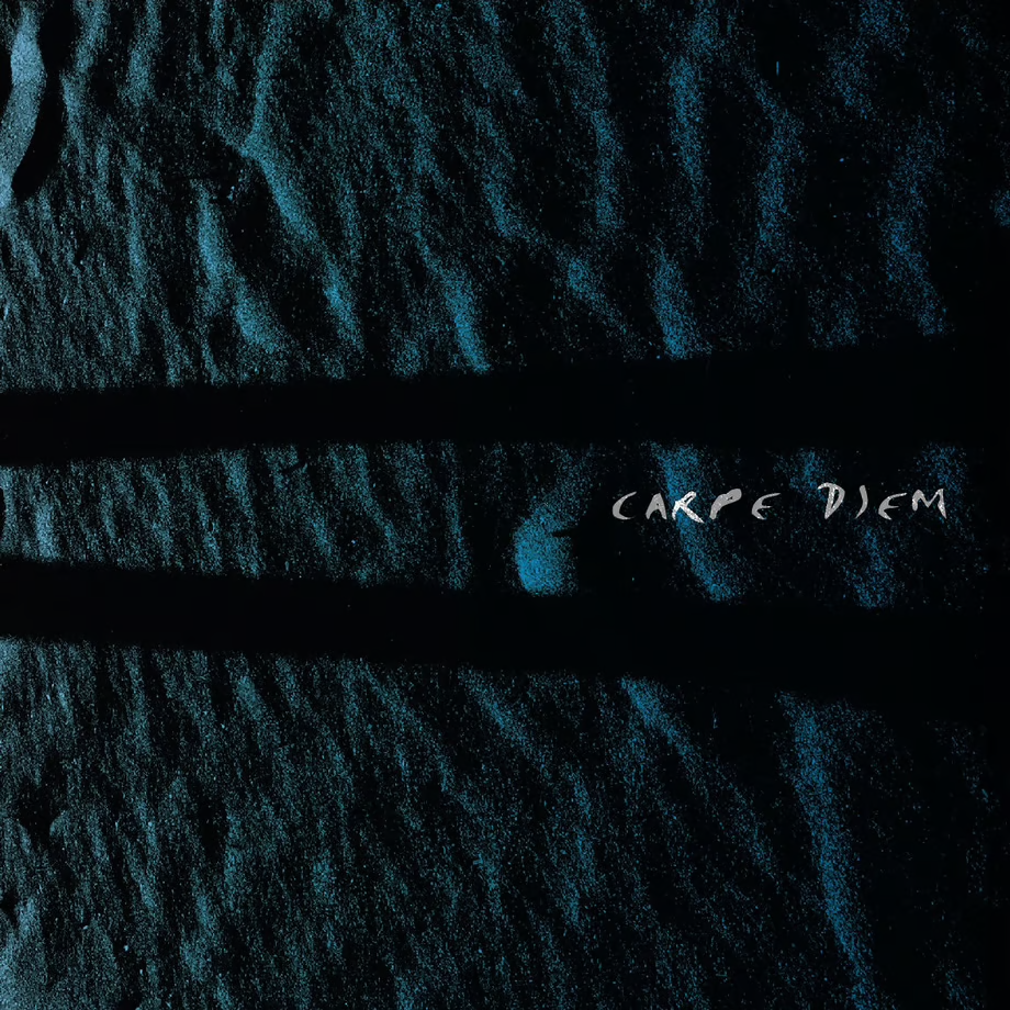 [CD ALBUM]CARPE DIEM（2017年作品） | カモネギ書店（HEATWAVE...