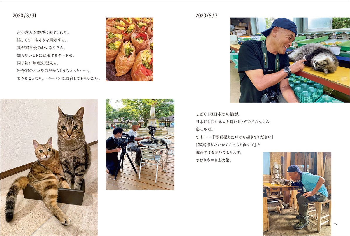 ＜事前予約受付中＞『ほとんどネコのこと 岩合さんの月曜日』見どころ② | Crevis On...